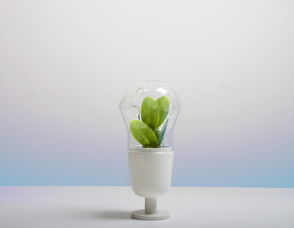 Matteo Cibic Editions