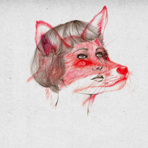 Peony Yip Animal Morphing Illustrations