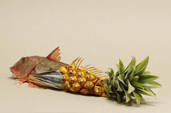 Playful Food Combos for Etenschap