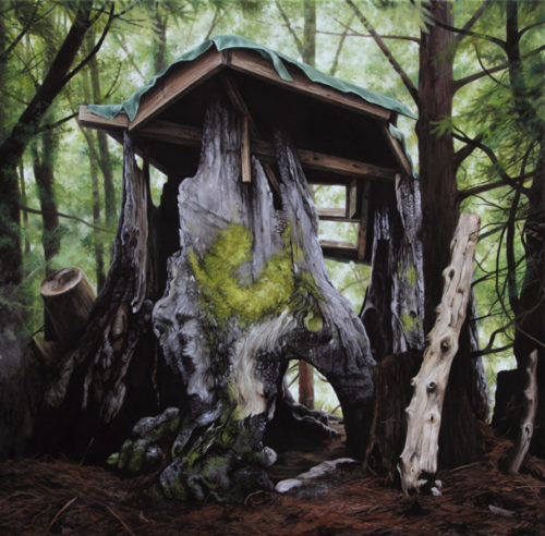 Moki Mioke's Mossy Universe