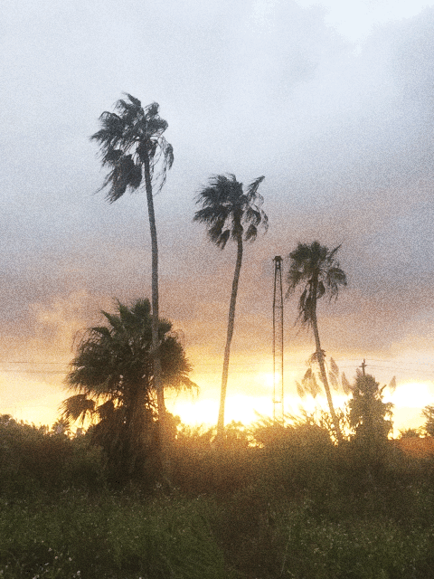 New App to try: Phhhoto