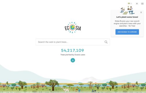 Save Trees while Searching the Web with Ecosia