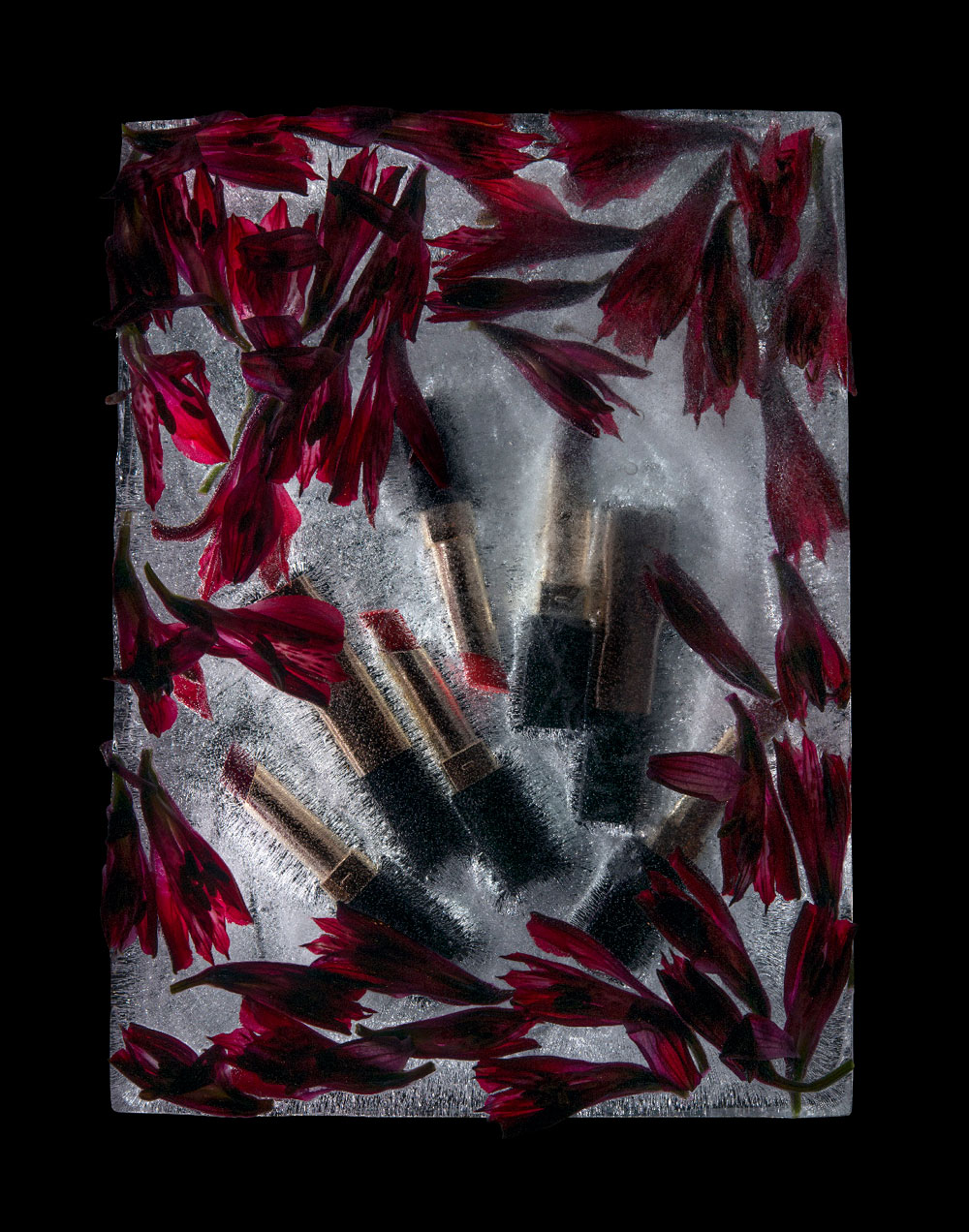 The Stunning Still Life Photography of Dylan Griffin