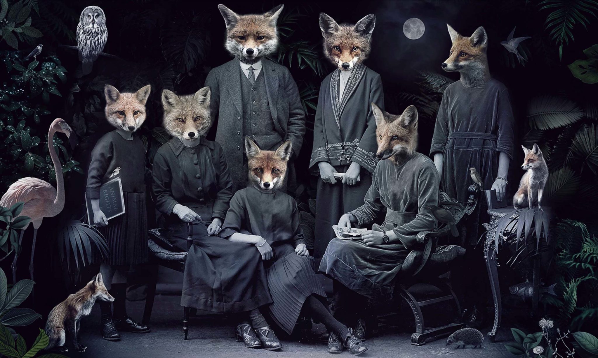 Surreal Animal Collages by Katarzyna & Marcin Owczarek