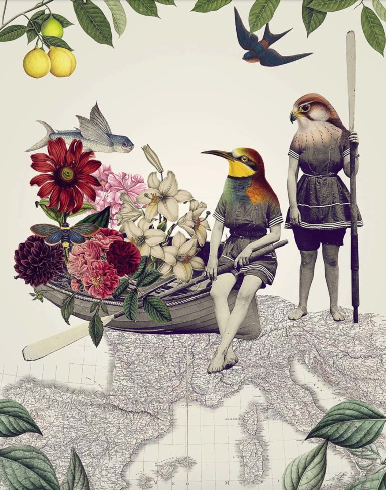 Surreal Animal Collages by Katarzyna & Marcin Owczarek